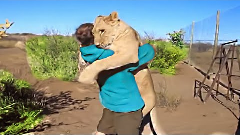 7 Most Heartwarming Friendships Between Animals